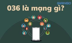 036 là mạng gì? Cách chọn SIM hợp phong thủy người dùng