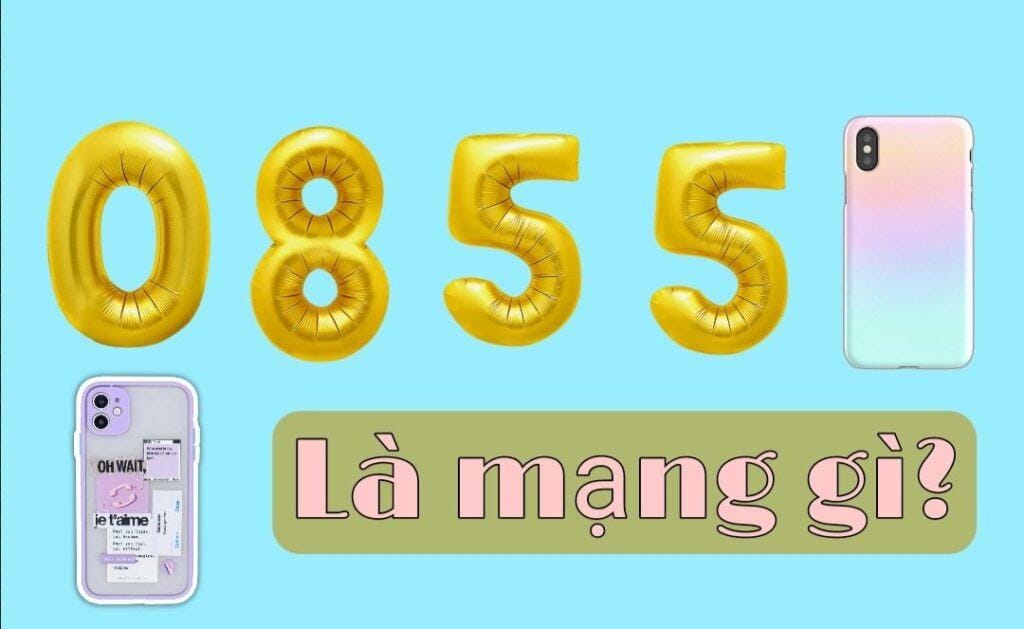 085 là mạng gì và cách chọn sim 085 tài lộc cho gia chủ