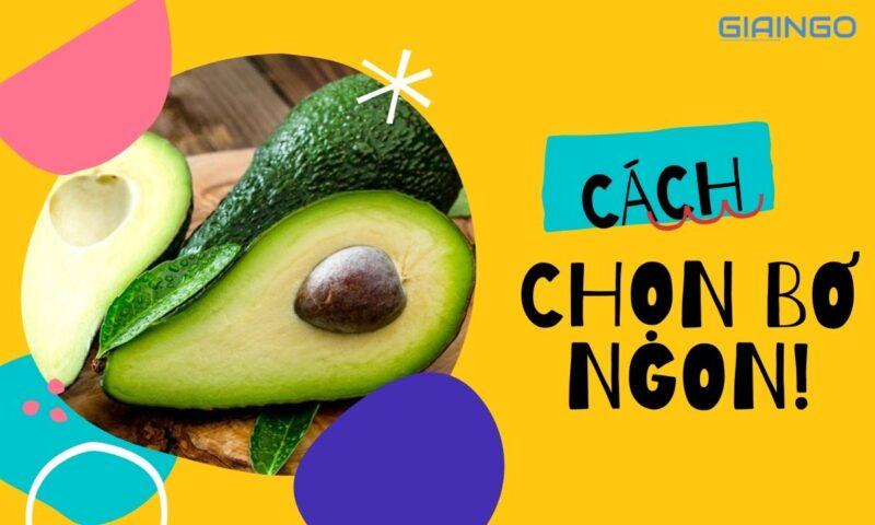 Cách chọn bơ ngon đúng chuẩn? Mẹo bảo quản đúng cách