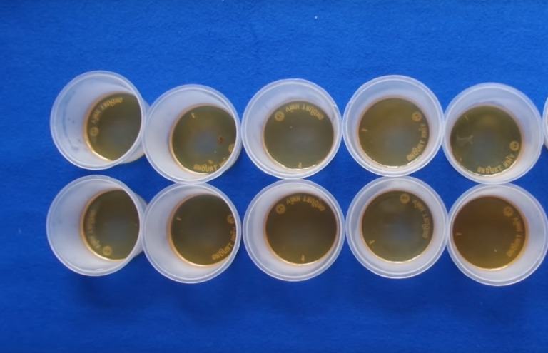 Cách làm caramen? Công thức làm caramen tại nhà cực ngon