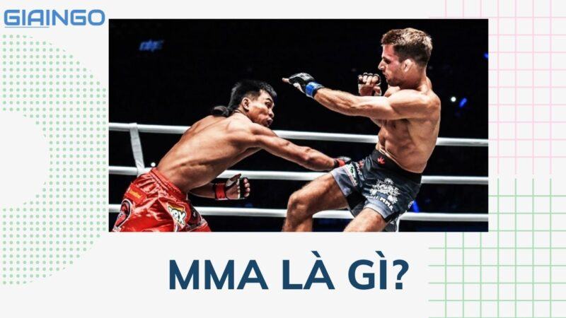 MMA là gì? Những điều thú vị về MMA có thể bạn chưa biết