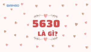 5630 là gì? Giải mã con số 5630 trong tình yêu ai cũng tò mò