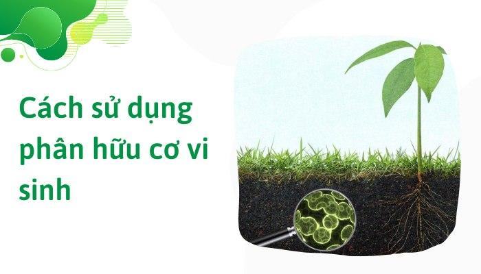 Vì sao phân hữu cơ vi sinh lại có hạn sử dụng ngắn hơn phân hữu cơ