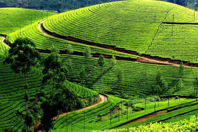 Vì sao địa hình đồi núi nước ta bị xâm thực mạnh?